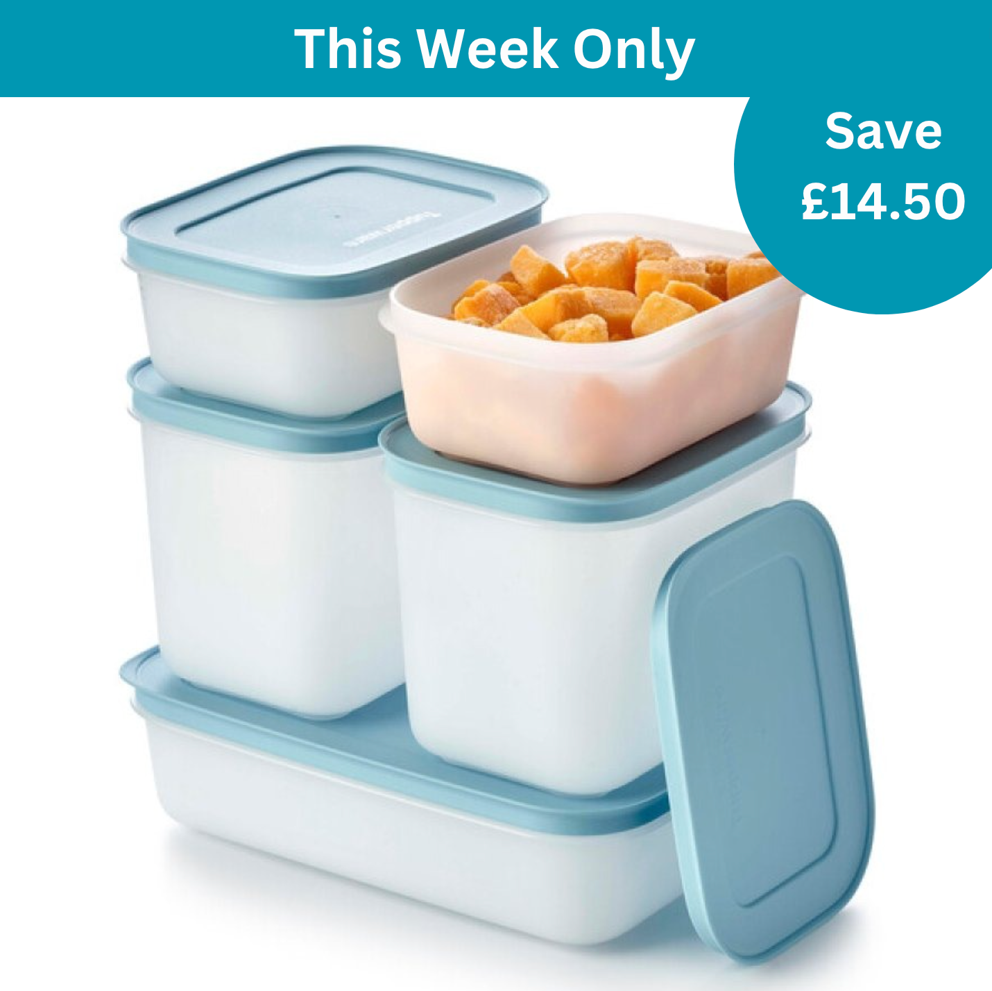 Tupperware Freezer Storage – Tupperware Queen Shop UK